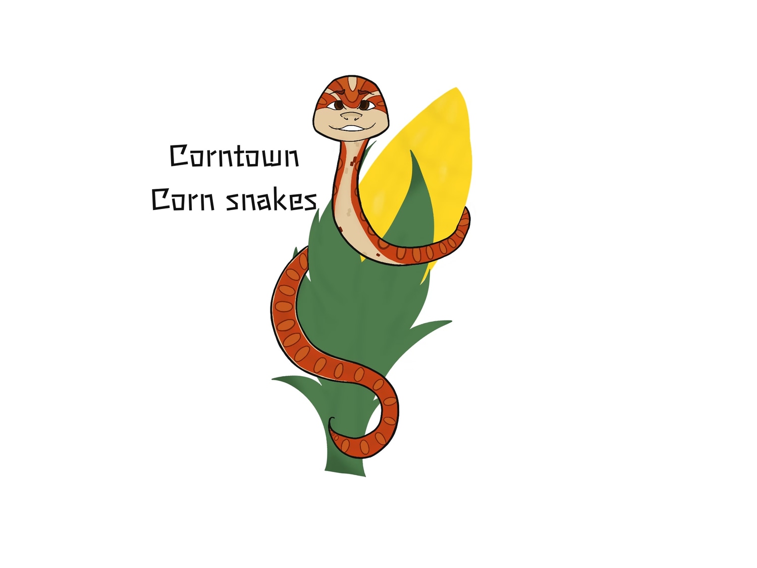 Corn Town Cornsnakes's Collection - MorphMarket