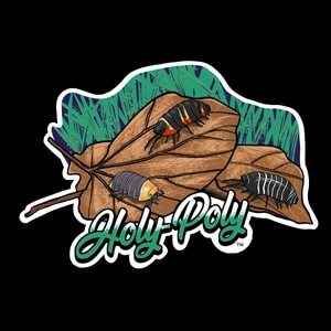 Holy-Poly Isopods LLC - MorphMarket