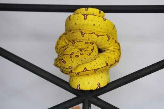 2 Designers Green Tree Python by Perched-Up Pythons