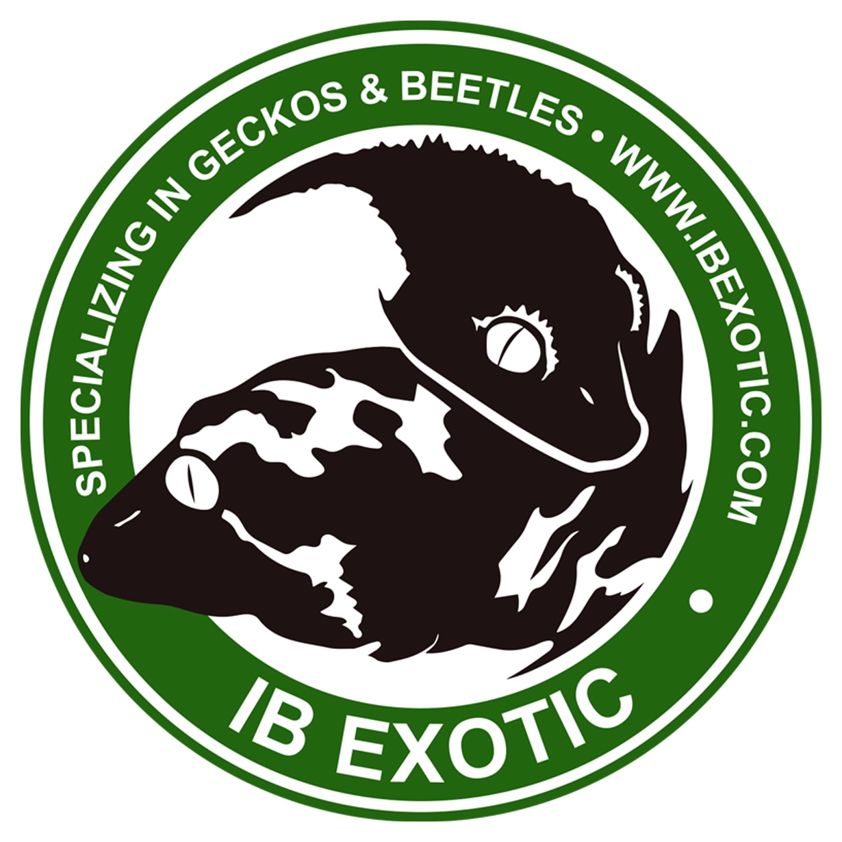 IB Exotic's Collection - MorphMarket