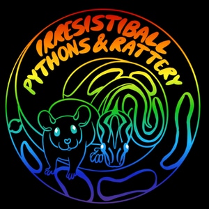 IrresistiBall Pythons and Rattery - MorphMarket