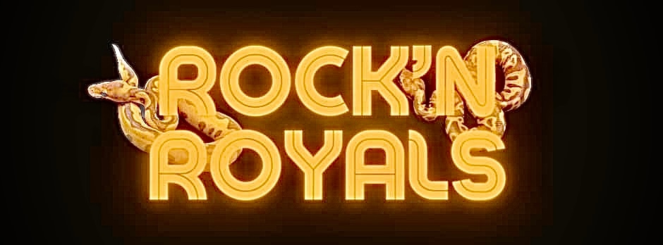 Ball Python Clutch: 2301 by Rock’N Royals - MorphMarket