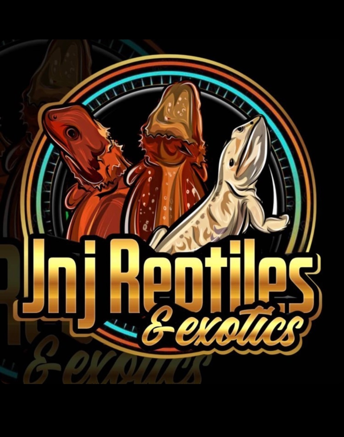 Central Bearded Dragon Clutch: L1 by J&J Reptiles and Exotics - MorphMarket