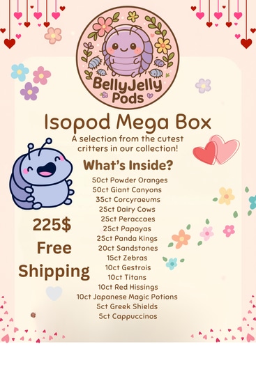 Isopod Mega Bundle Box by Belly Jelly Critters