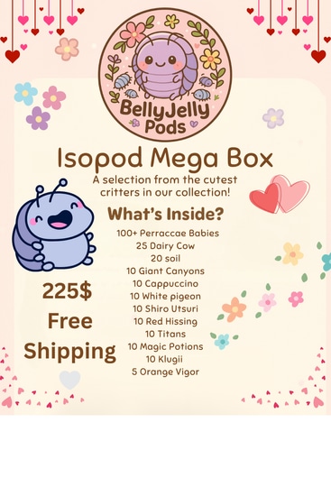 Isopod Mega Box by The Spood Vault & BellyJelly Pods