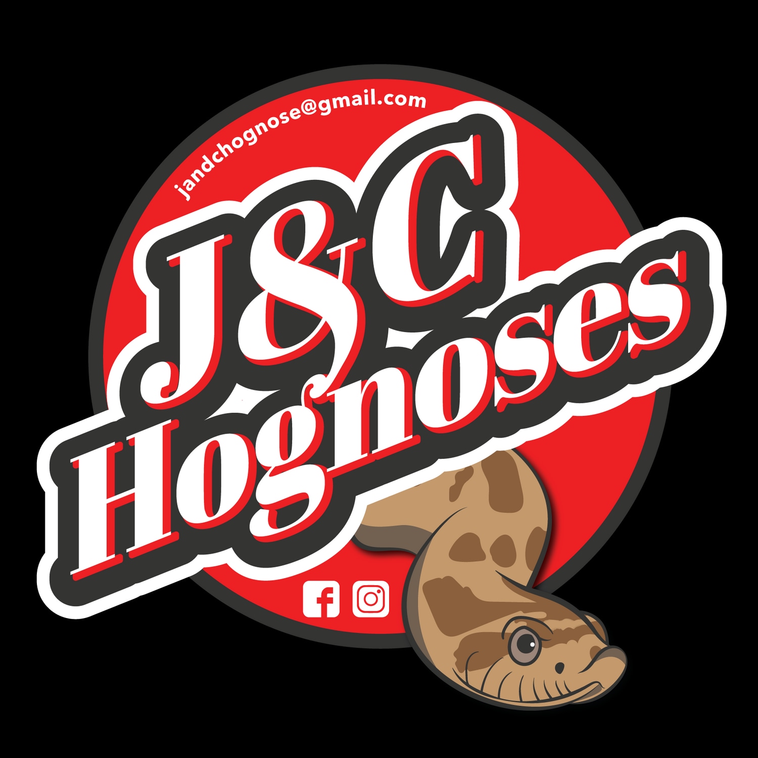 J&C Hognoses, LLC's Collection - MorphMarket