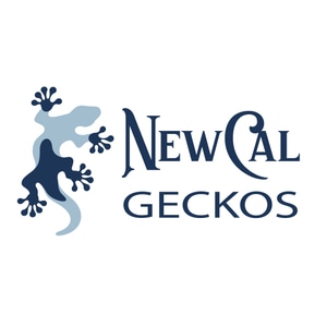 NewCal Geckos - MorphMarket