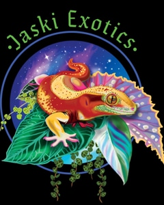 Jaski Exotics - MorphMarket