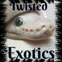 Twisted exotics - MorphMarket