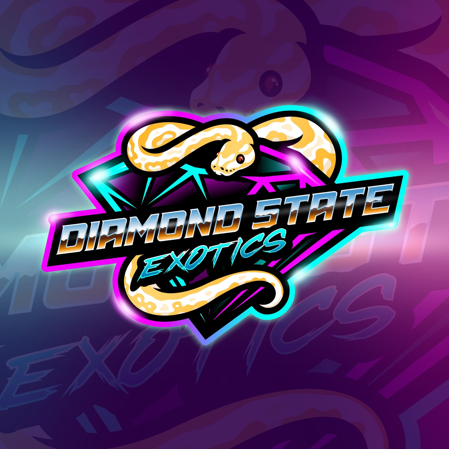 Diamond State Exotics's Collection - MorphMarket