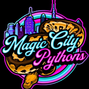 Magic City Pythons - MorphMarket
