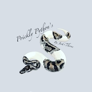 Offspring by Prickly Pythons - MorphMarket