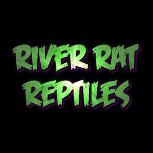 Offspring by River Rat Reptiles - MorphMarket