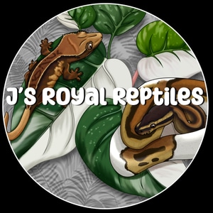 J’s Royal Reptiles - MorphMarket
