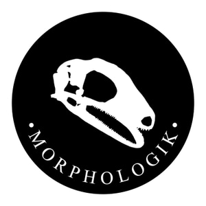 Morphologik - MorphMarket