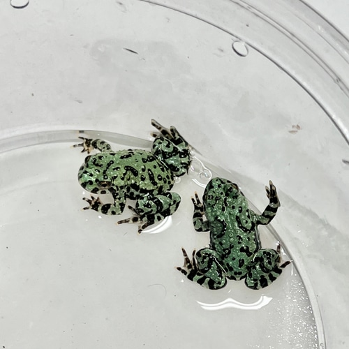 Creature Farm - MorphMarket