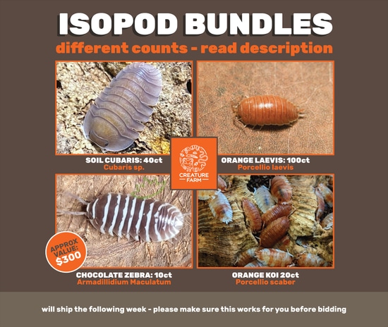 Isopod BUNDLE - 100ct, 40ct, 20ct & 10ct Cultures by Creature Farm