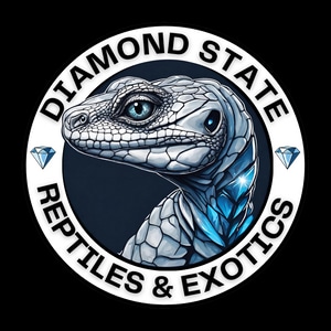Diamond State Reptiles & Exotics - MorphMarket