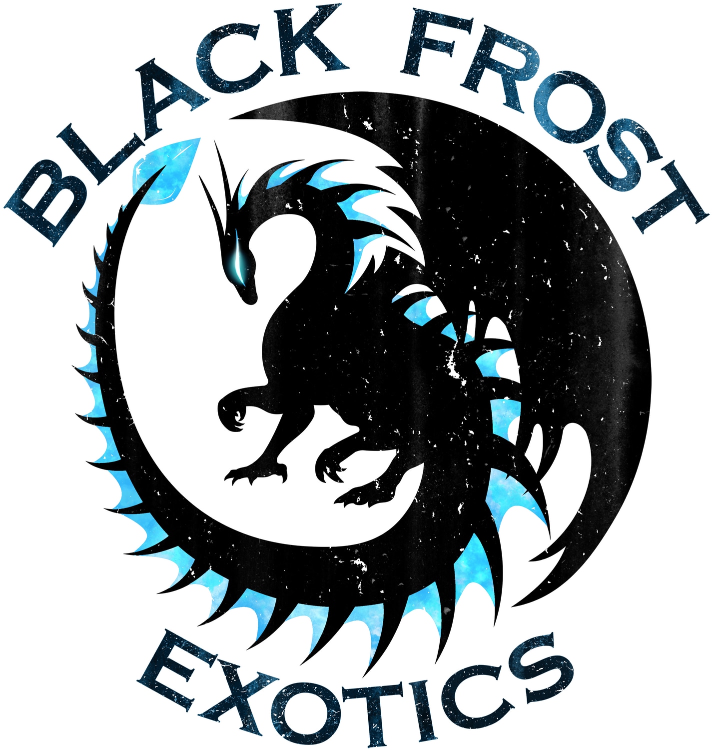 Ball Python Clutch: Partho Clutch by Black Frost Exotics - MorphMarket