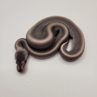 Pastel Cinnamon GHI Mojave Ball Python by Inked Lady Morphs - MorphMarket