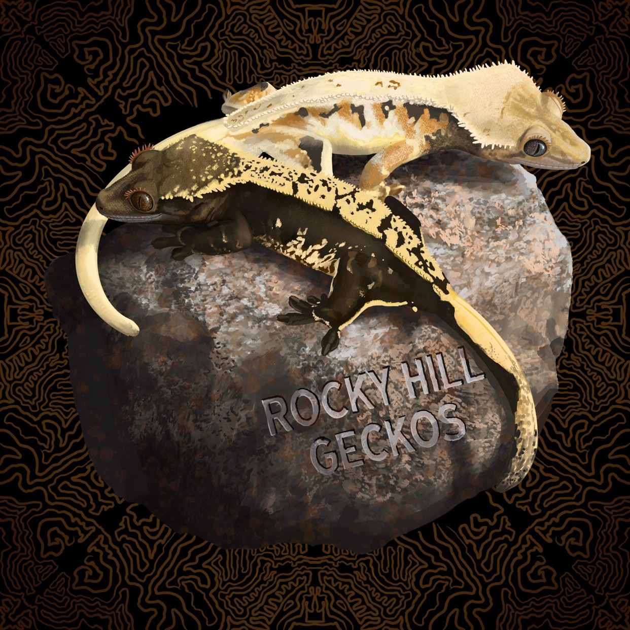 Crested Gecko Clutch: Sahara by Rocky Hill Geckos - MorphMarket