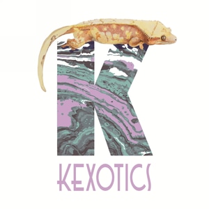 Kexotics - MorphMarket