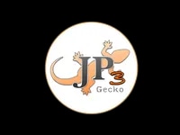 JP3 Gecko - MorphMarket