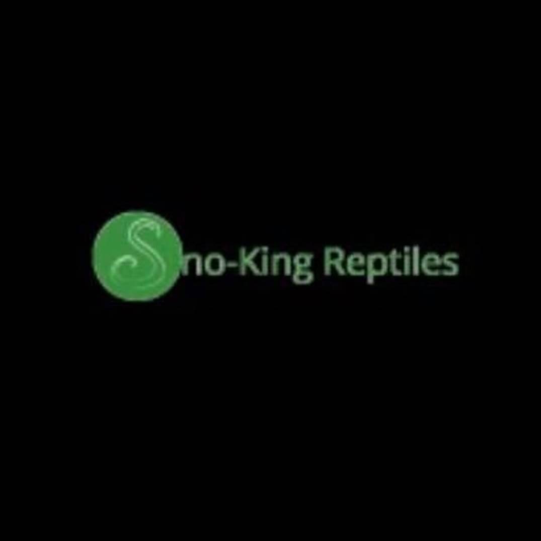 Sno-King Reptiles's Collection - MorphMarket