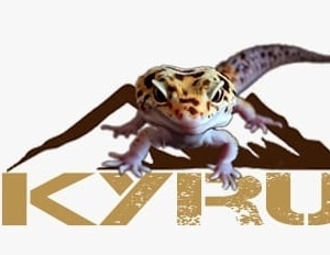 Kyru Reptiles - MorphMarket