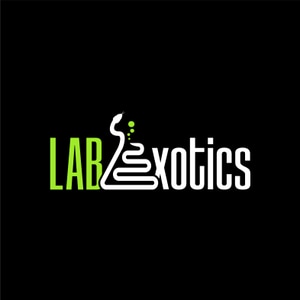 LAB Exotics - MorphMarket