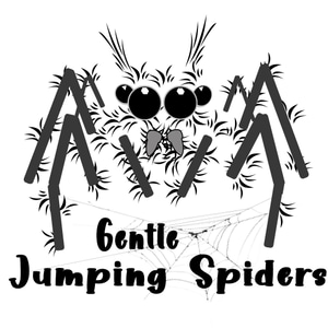 Gentle Jumping Spiders - MorphMarket