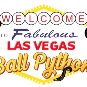 Las Vegas Ball Pythons - MorphMarket