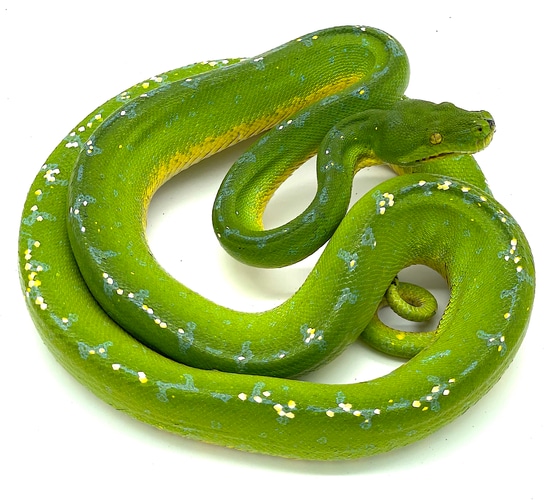 Sorong Green Tree Female (Morelia Viridis) (SPF03) 25% OFF Green Tree ...