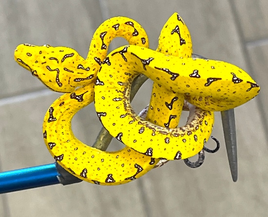 Manokwari Green Tree Python (MGTP25) by Reptile Pets Direct