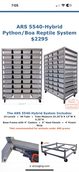 ARS 5540 Rack And 26 Quality Snakes Ball Python by Lee Family Exotics