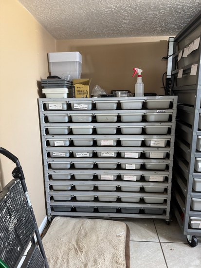 Freedom Breeder 55 Hatchling Rack Ball Python by Lee Family Exotics