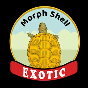 Morph Shell Exotics - MorphMarket