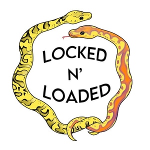 Locked N' Loaded Ball Pythons LLC - MorphMarket