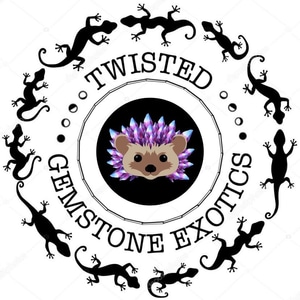 Twisted Gemstone Exotics - MorphMarket