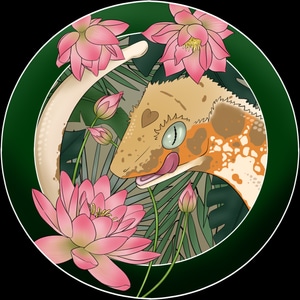 Lotus' Creatures - MorphMarket