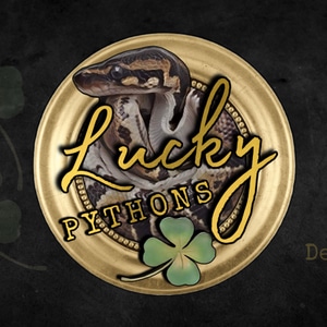 Luckypythons - MorphMarket