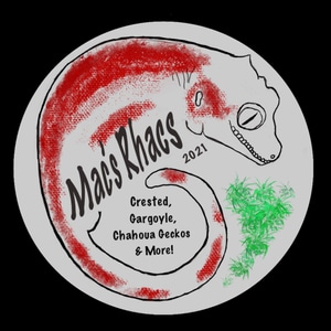 Mac's Rhacs - MorphMarket