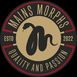 Mains Morphs - MorphMarket