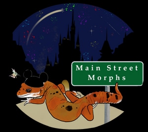 Main Street Morphs - MorphMarket