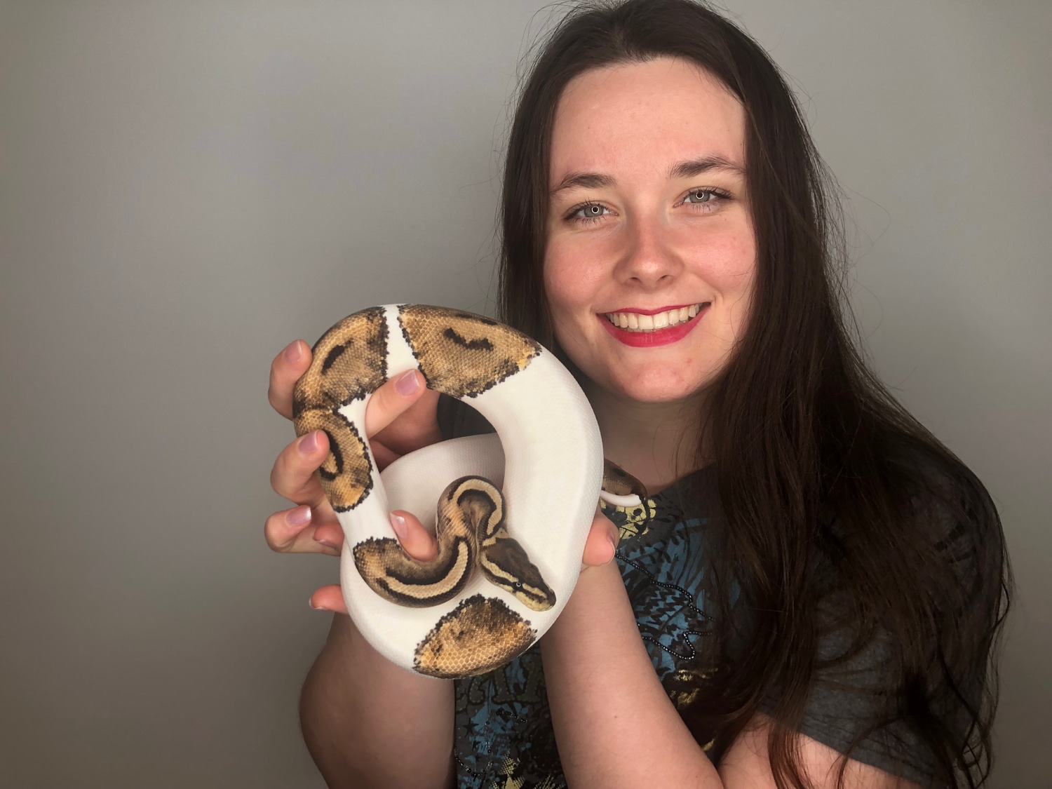 Ball Python Clutch: 2nde by Malo Reptiles - MorphMarket