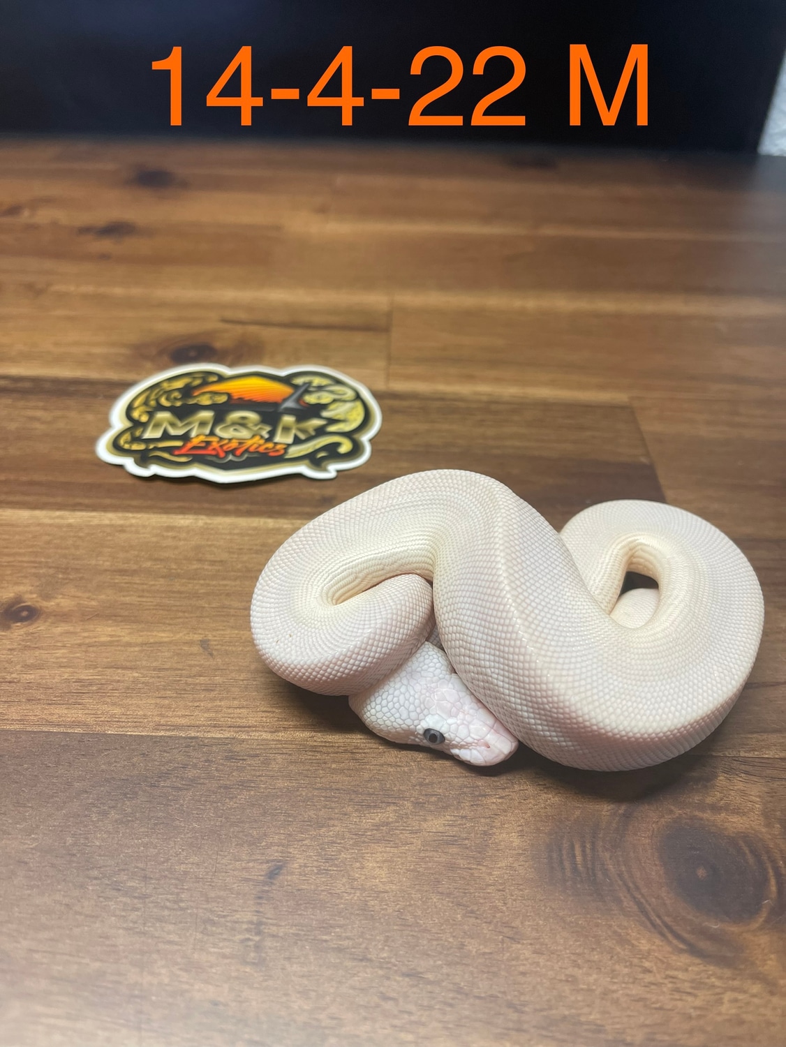 Blue Eyed Lucy Super Lesser Pos Pastel Het Clown %50 Het Hypo Ball ...