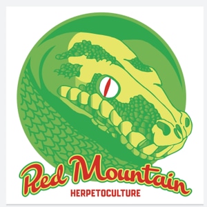 Reduced Pattern Ultramel Clown Pos Het Caramel Ball Python by Marcial ...