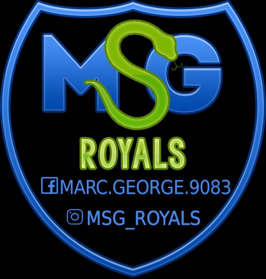 Ball Python Clutch: 1 by Msg_royals - MorphMarket