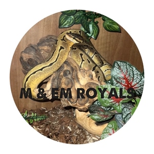 M&EM Royals - MorphMarket