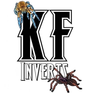 KF Invertebrates - MorphMarket